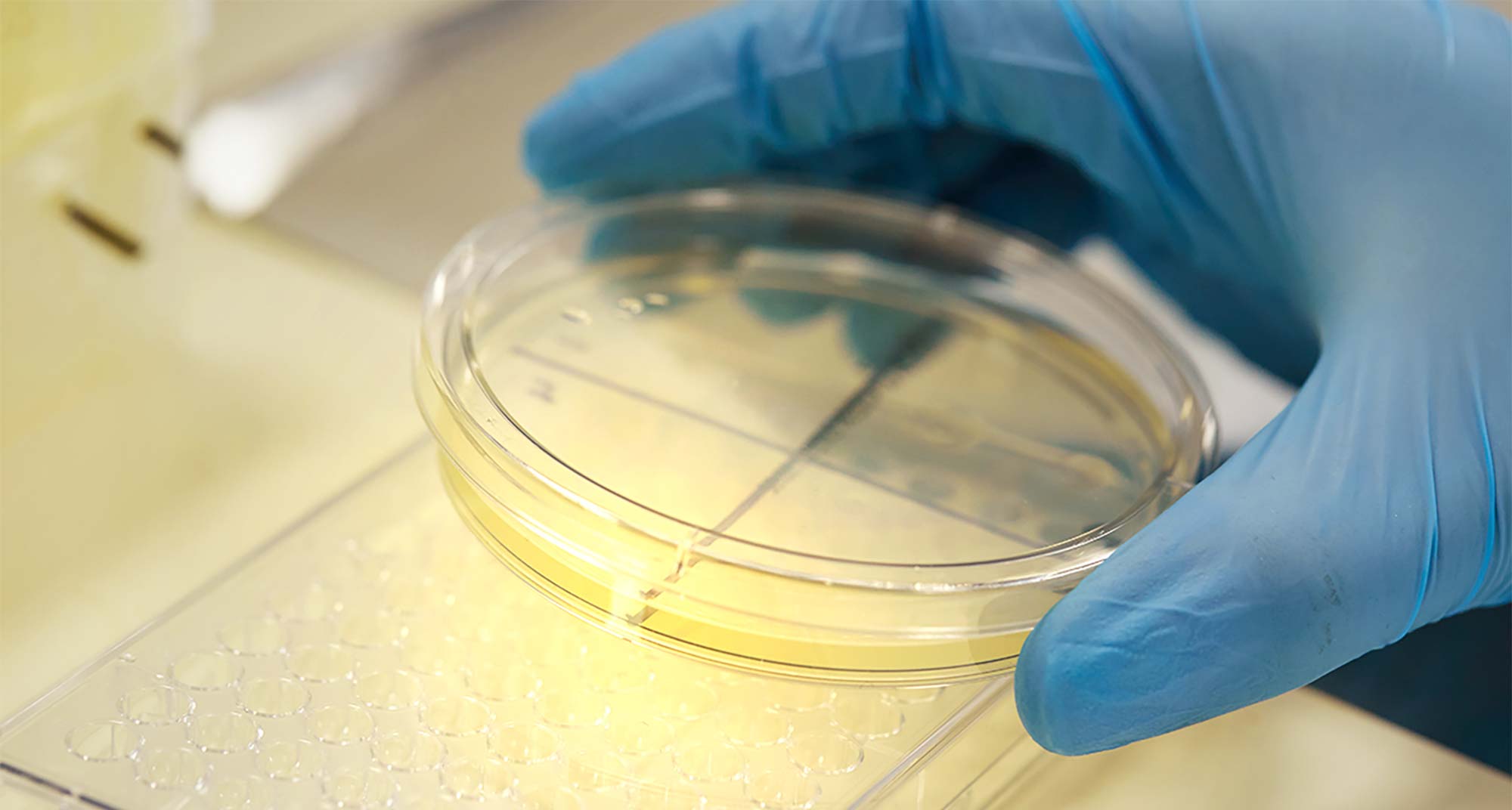 BioInteractions launches expanded medical product development partnership offering at MD&M West ...